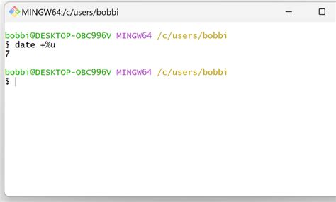 How To Get Day Of Week In Bash With Examples Collecting Wisdom
