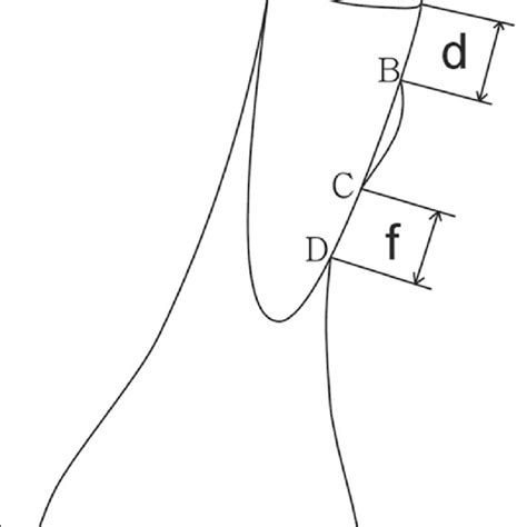 Reference Points And Measurement Variables Used In This Study