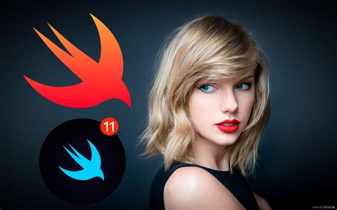 Swiftui 为任意视图加上徽章（badge）而想到的（上）swiftui Badge Csdn博客