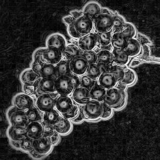 A Acquired Image For Input B Image Enhanced Image Using Adaptive Download Scientific