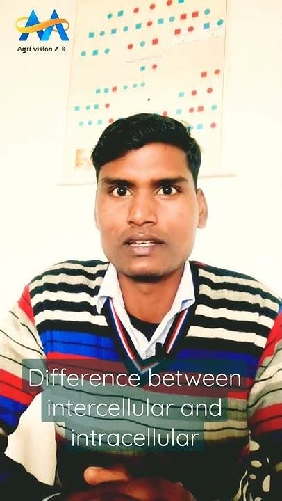 Difference Between Intercellular And Intracellular Agriculture Youtube