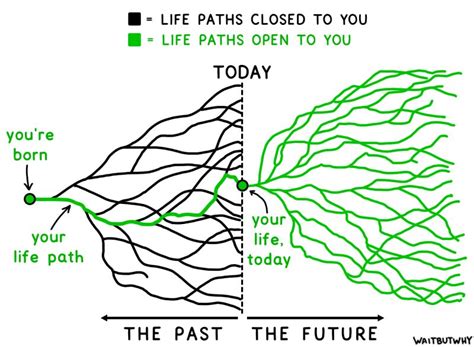 تفکرسیستمی سیستم روانشناسی توسعهفردی Hamid Reza Mazandarani