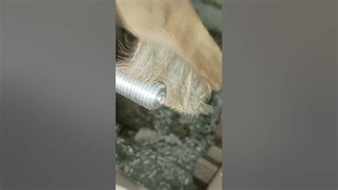 Threading 👍 ️ Youtube