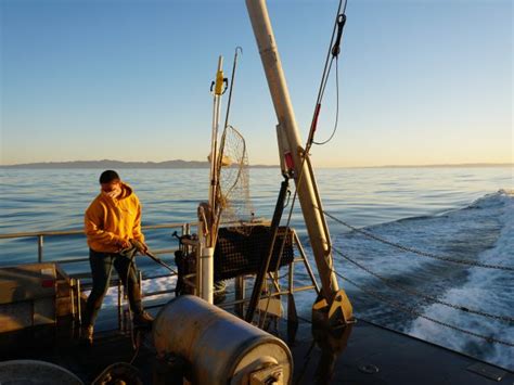 Interdepartmental Graduate Program In Marine Science Uc Santa Barbara