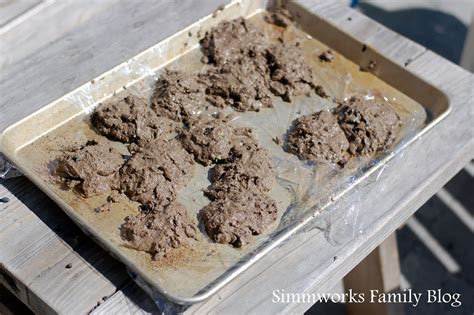 Make Diy Dinosaur Fossils For Your Dinosaur Party