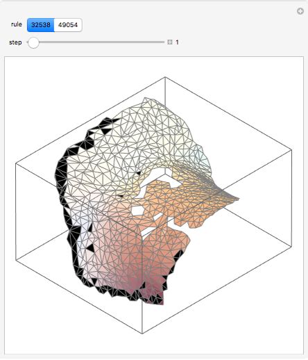 2d Cellular Automaton On A Triangulated Surface Wolfram Demonstrations Project