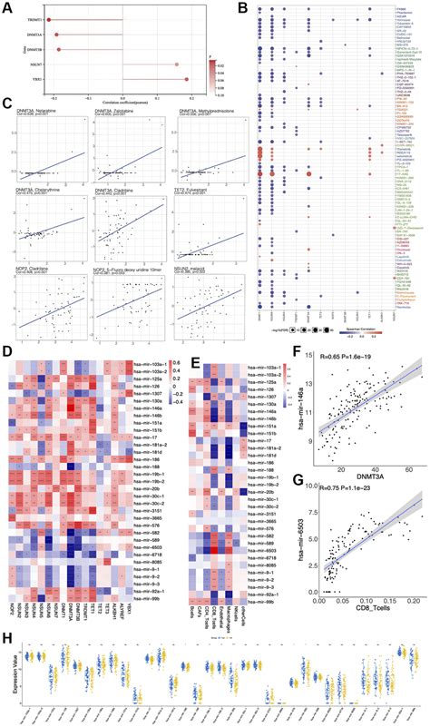 5 Methylcytosine Rna Modification Regulators Based Patterns And Features Of Immune