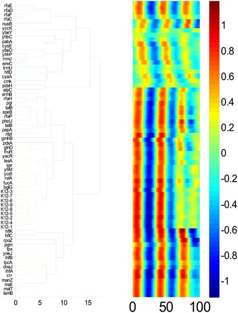 Analysis Of Bacteriophage Lambda Infection Dynamics Classification Of