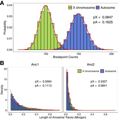 Recombination And Length Distribution Of Segments Of Distinct Ancestry Download Scientific