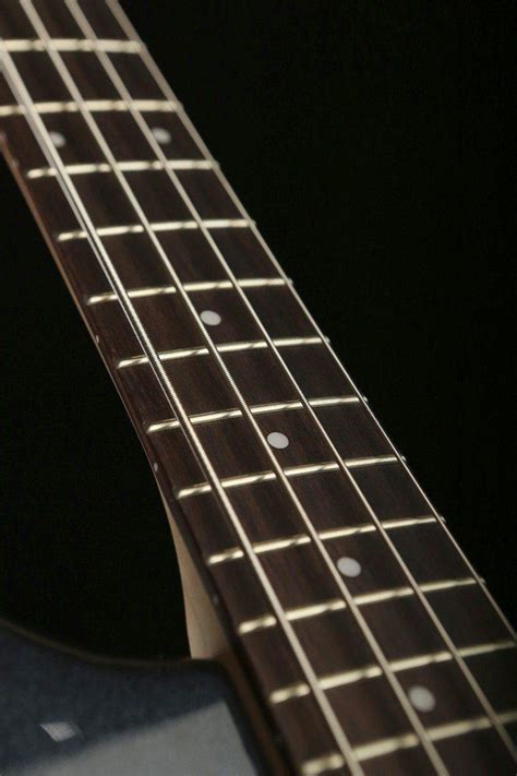 4 String Basses 4 String Basses