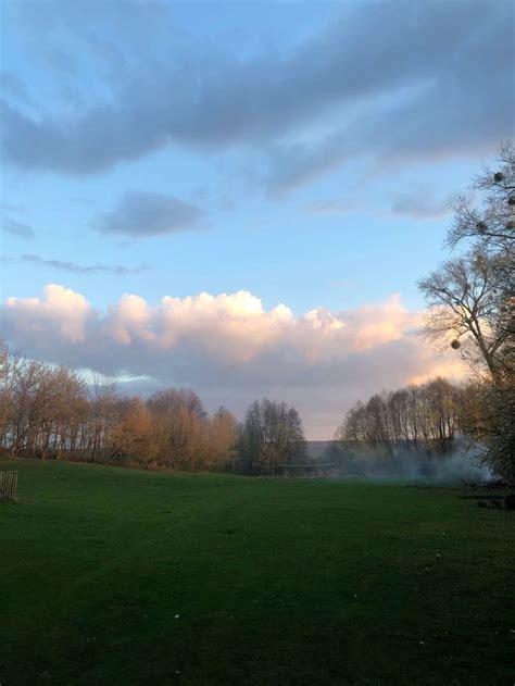 Grassy Field Aesthetic Wallpaper