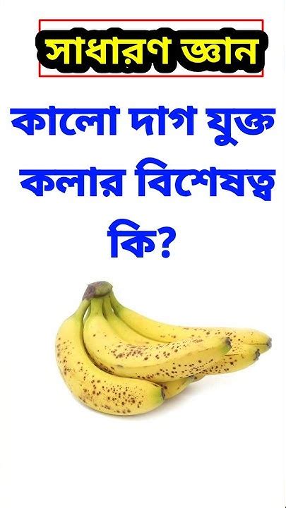 সাধারণ জ্ঞান কালো দাগ যুক্ত কলার বিশেষত্ব কি Gk Prashno Uttar Youtubeshorts Bangala Gk Quiz