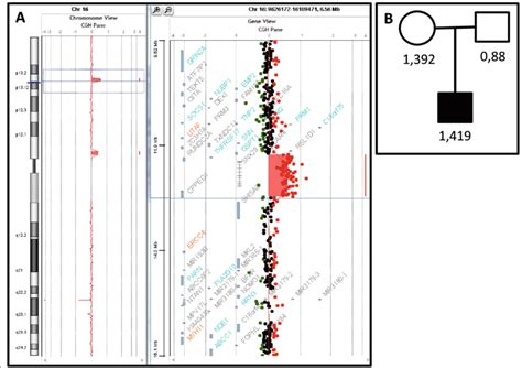 A Detail Of The Patients Cgh Array Analysis Showing A 16p133