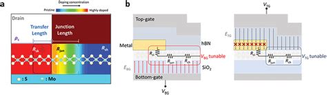 A Schematic Of A Mos2 Fet At The Drain Contact Side Showing Doping Download Scientific Diagram