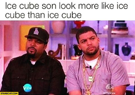 Ice Cube Memes Starecat Com