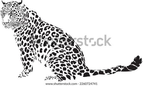 Vector Illustration Abstract Leopard Black Isolated Stock Vector Royalty Free 2260724741 Vector Illustration Abstract Leopard Black Isolated Stock Vector Royalty Free 2260724741
