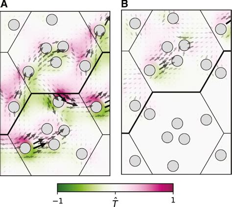 Chirality Comparison Poynting Vector S Arrows And Normalized Spin