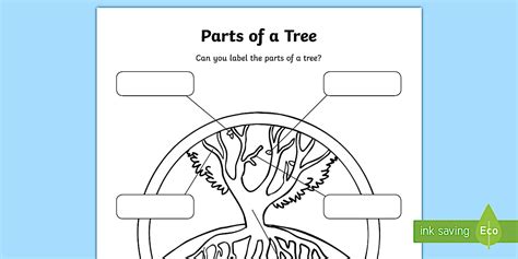 Parts Of A Tree Worksheet F 2 Twinkl Resources Twinkl