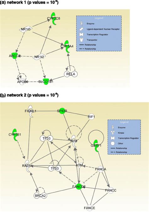 The Most Significant Networks P Values 10 −9 And 10 −8 Generated