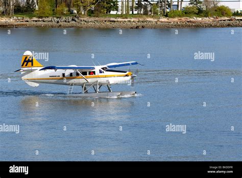 Harbour Air Dhc 3 Turbine Single Otter Float Plane Preparing To Take