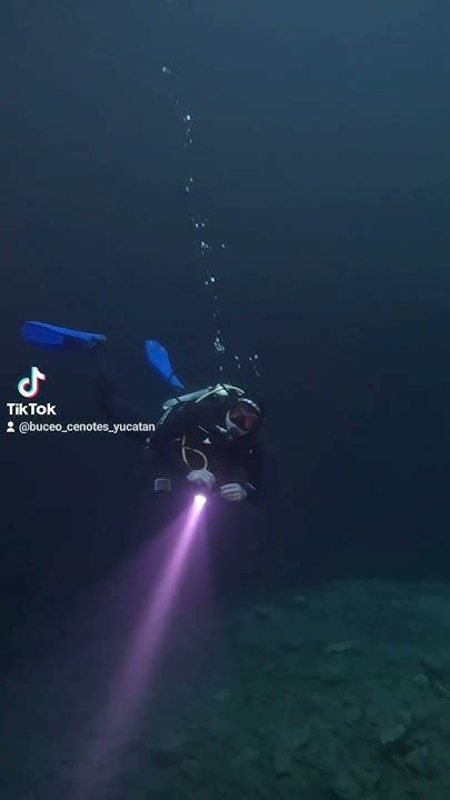Buceando En Cenotes De Yucatan Youtube