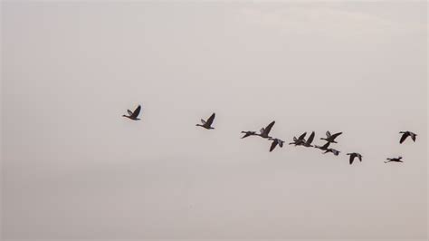 drupal content migrations metadrop