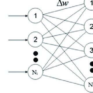 Explanation Of The Back Propagation Download Scientific Diagram