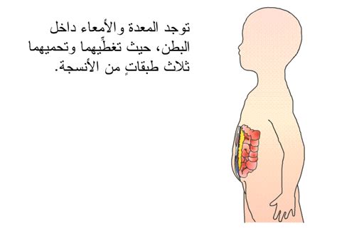 مُعالجةُ الفَتق السرِّي عندَ الأطفال