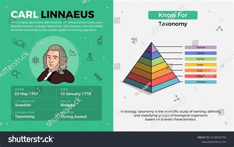 Carolus Linnaeus System Of Classification