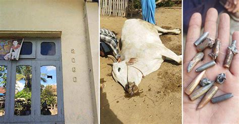 ကနီမြို့နယ် ကျေးရွာများကို စစ်ကောင်စီတပ်က လေကြောင်းတိုက်ခိုက်