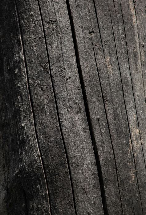 Abhishek Saini Photography