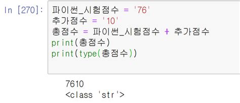 파이썬 기초 자료형의 변환과 input 함수 네이버 블로그
