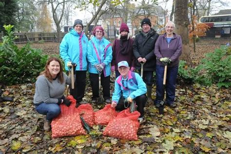 Why City Of Culture Volunteers Are Planting Tulips In Hull Hull Live