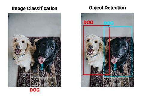 Beginners Guide To Object Detection