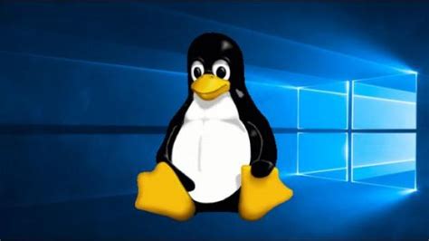 Linux Is Becoming The Windows Alternative Microsoft Never Wanted