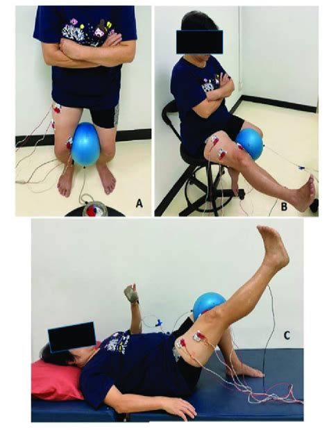 The Squat A Knee Extension B And Straight Leg Raise C Exercises