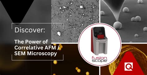 Correlative Microscopy News Qd Uk