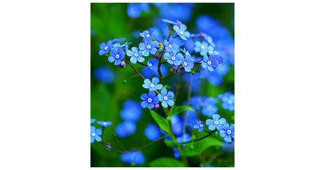 Susan Y Ahern Obituary 1947 2025 Enfield Ct Wfsb