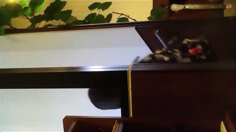 Japaniese Girl Toilet Voyeur Eporner