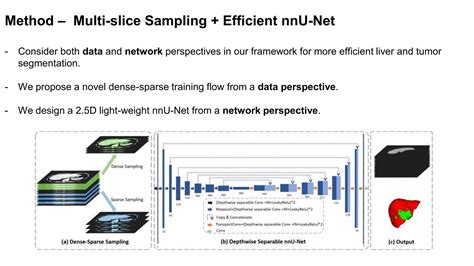 [embc 2021] multi slice dense sparse learning for efficient liver and