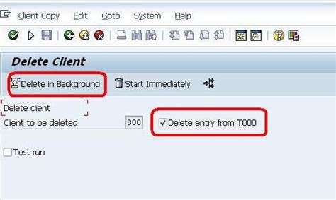 Sap Basis Raju Blogspot Com How To Delete A Client In SAP Sap Clients Copy Editing