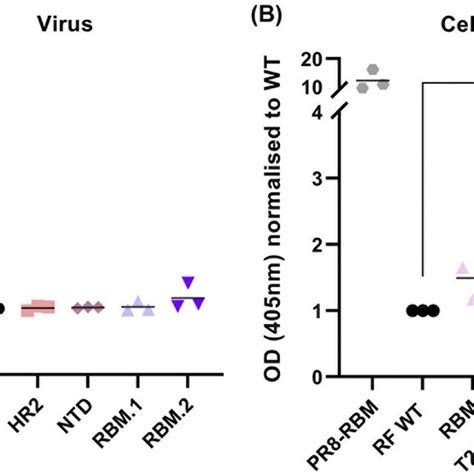 The Rotavirus Replication Cycle From Crawford Se Et Al Rotavirus