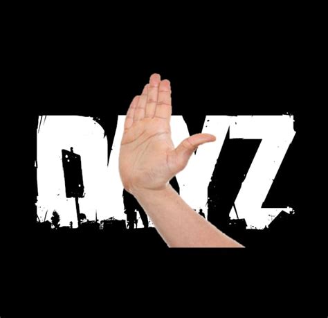 Create A Custom Discord Server For Dayz By Yogdubbz Fiverr