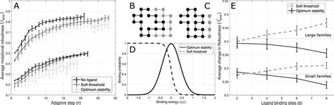 The Range Of Mutational Robustness Of Model Proteins And The Effect Of