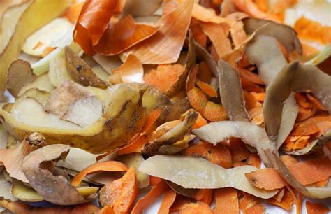 음식 닫는 당근 감자 양파 달걀 껍질을 닫습니다 재활용폐기물 재활용에 의한 친환경적인 방법으로 가정용 식품 폐기물의 책임있는