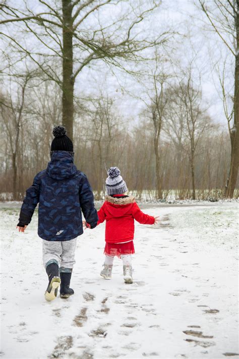 가족 감기 걷고 있는 겨울 겨울 모자 겨울 옷 겨울 풍경 계절 계절성 공원 귀여운 기쁨 나무 남동생 남매 놀이 눈 눈 내리는 눈이 내리는 길