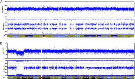 Examples Of Snp Array Data From Case 56 Top Panels Show Log2 Ratios