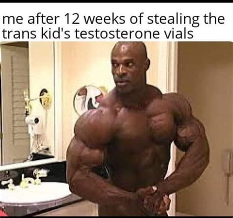 Reddit Dive Into Anything