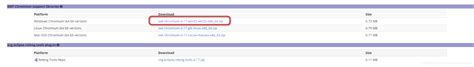 原生swt集成chromium org eclipse swt chromium csdn博客