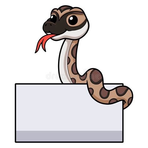 Python Molurus Stock Illustrations 101 Python Molurus Stock